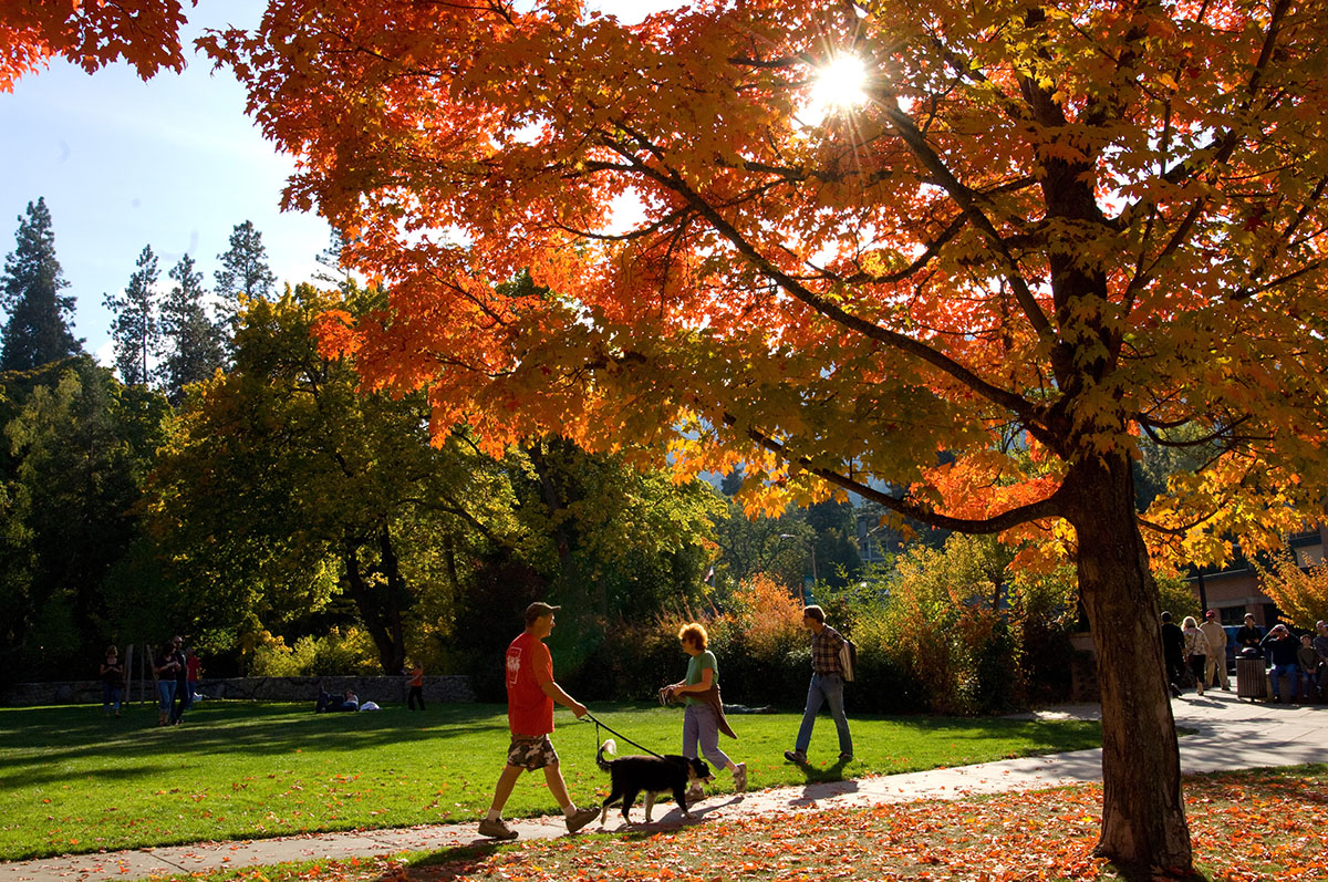 Plan a Weekend Exploring Ashland, Oregon