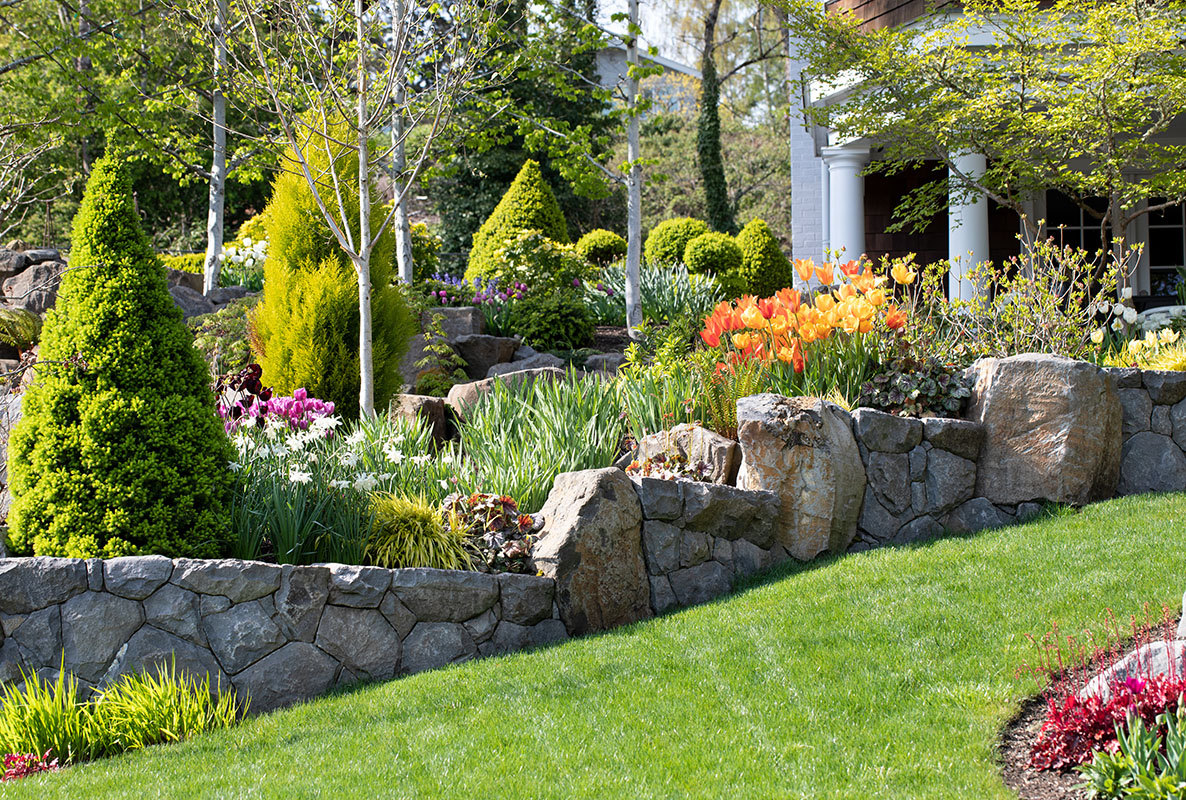 Garden Delight