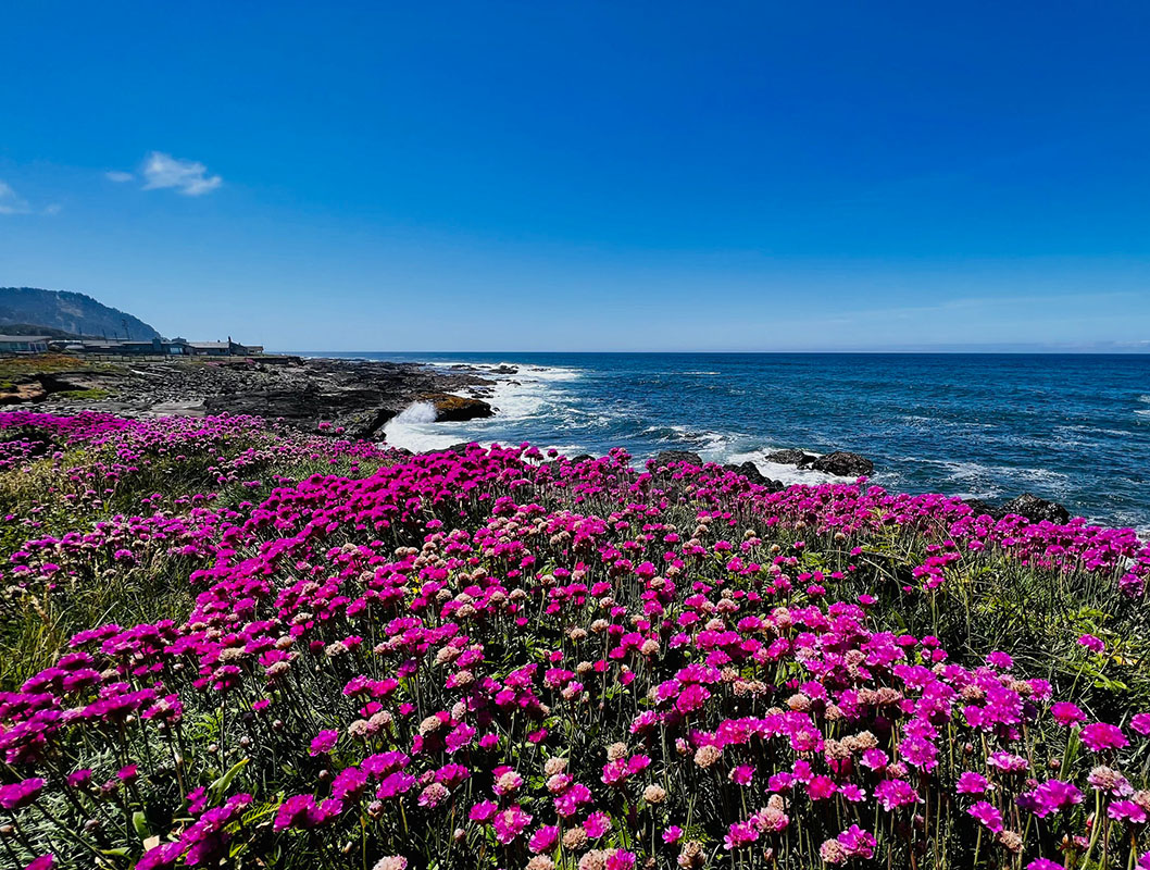 Oregon’s Central Coast