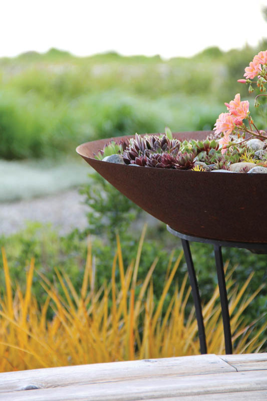 A Gardener's Island Paradise